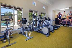 Apartment Photos & Videos - The Hamptons