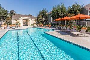 Apartment Photos & Videos | Windwood Glen