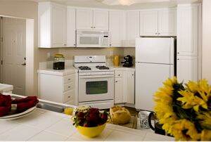 Apartment Photos & Videos - Torrey Villas
