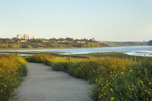 Life in Newport Beach | Get to Know the Neighborhood