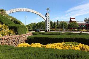 McCarthy Center - Current Customer Resources