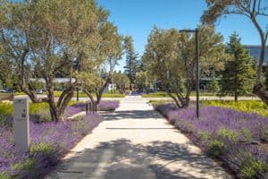 Pathline Park® - Office Space in Sunnyvale, CA